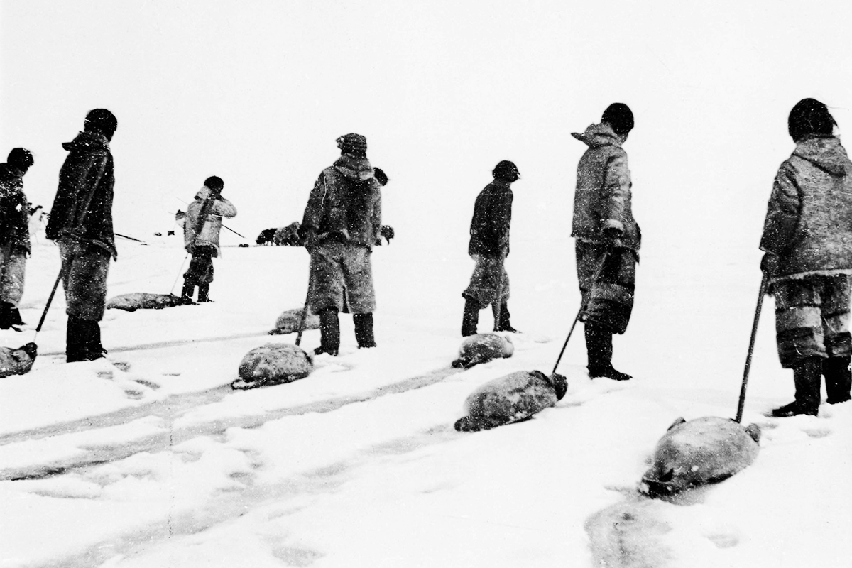 projects – direction Q